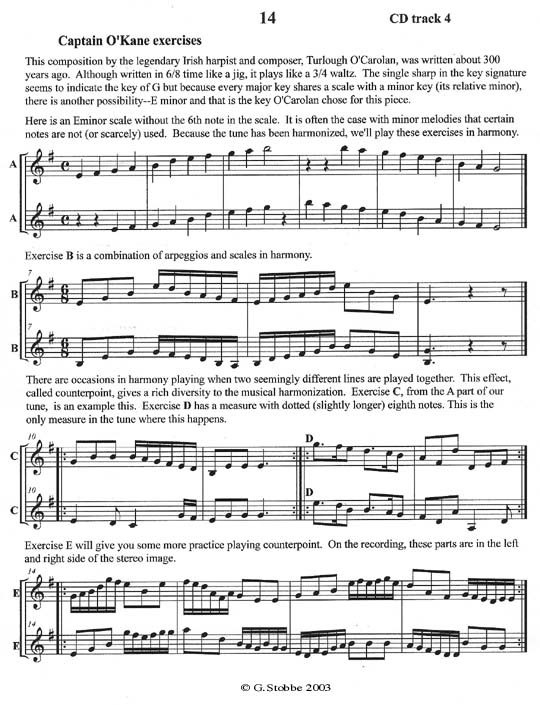 FIDDLEBOOKS Sample Page 8